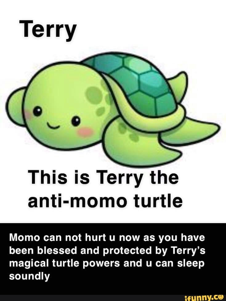 This is Terry the anti-momo turtle Momo can not hurt u now as you have ...