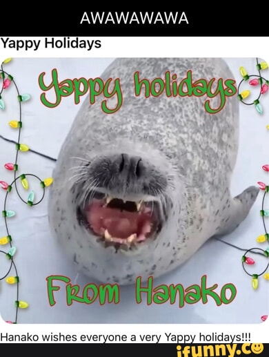 Yappy memes. Best Collection of funny Yappy pictures on iFunny