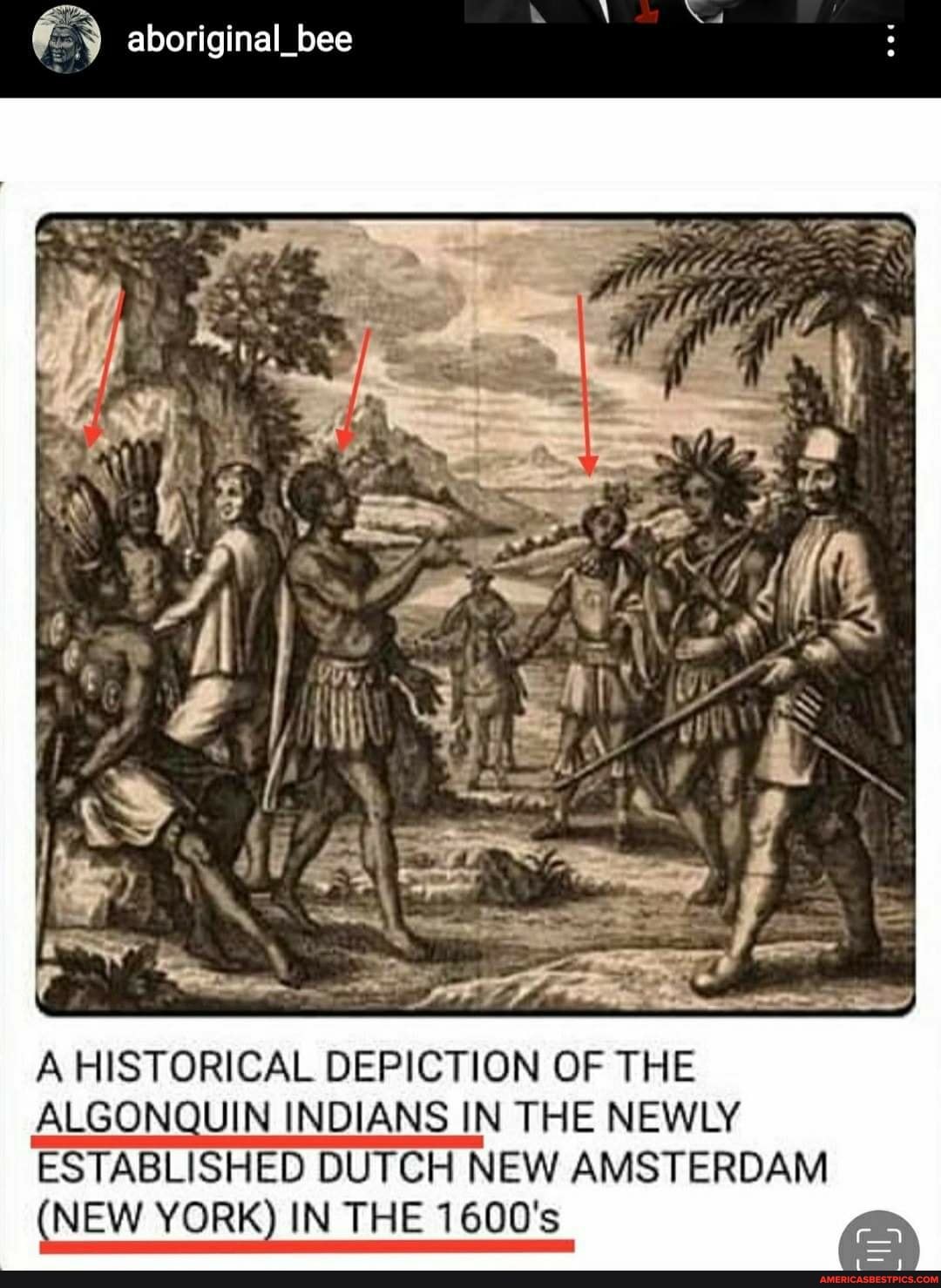 Aboriginal_bee A HISTORICAL DEPICTION OF THE ALGONQUIN INDIANS IN THE ...