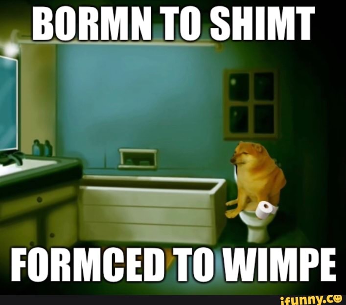 BORMIN TO SHIMT FORMGED TO WIMPE - iFunny