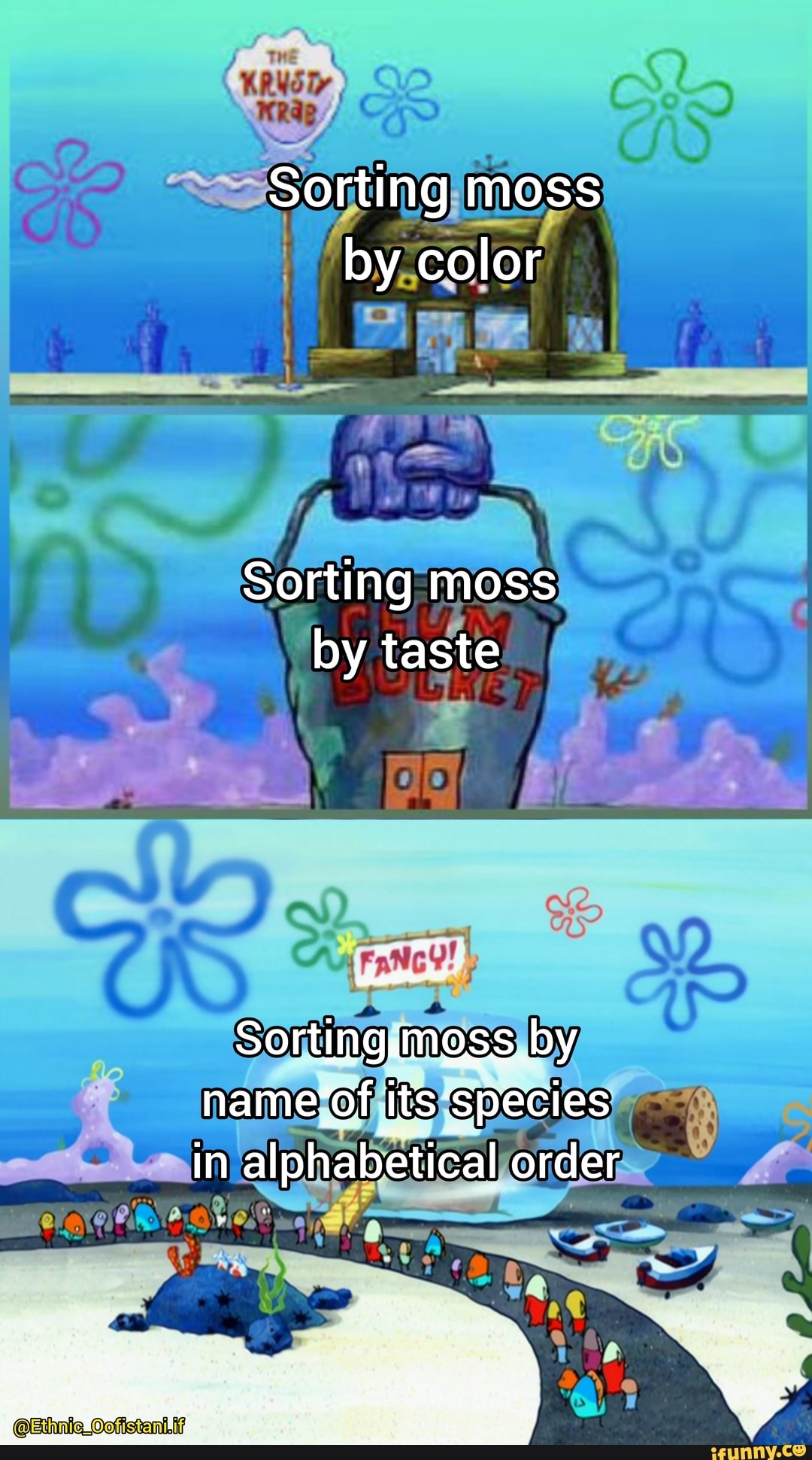 Sorting moss by color Sorting moss by taste Sortingsmoss by name'of its ...