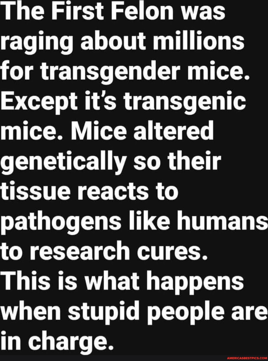 The First Felon was raging about millions for transgender mice. Except ...