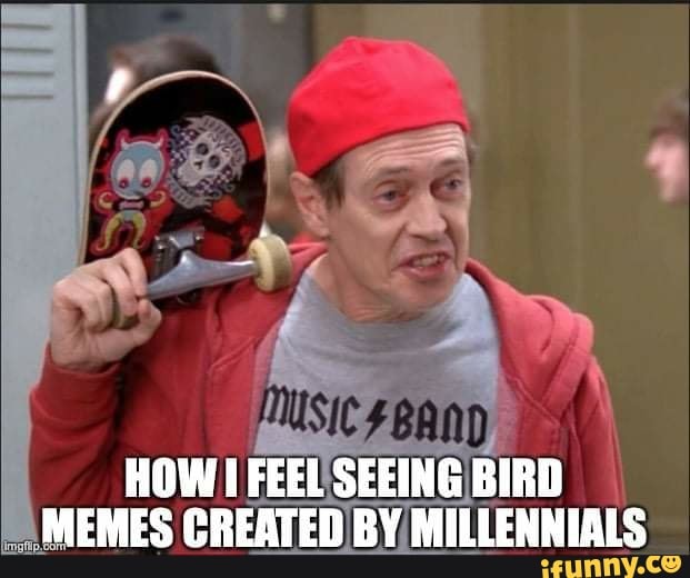 HOW FEEL SEEING BIRD MEMES CREATED BY MILLENNIALS - iFunny