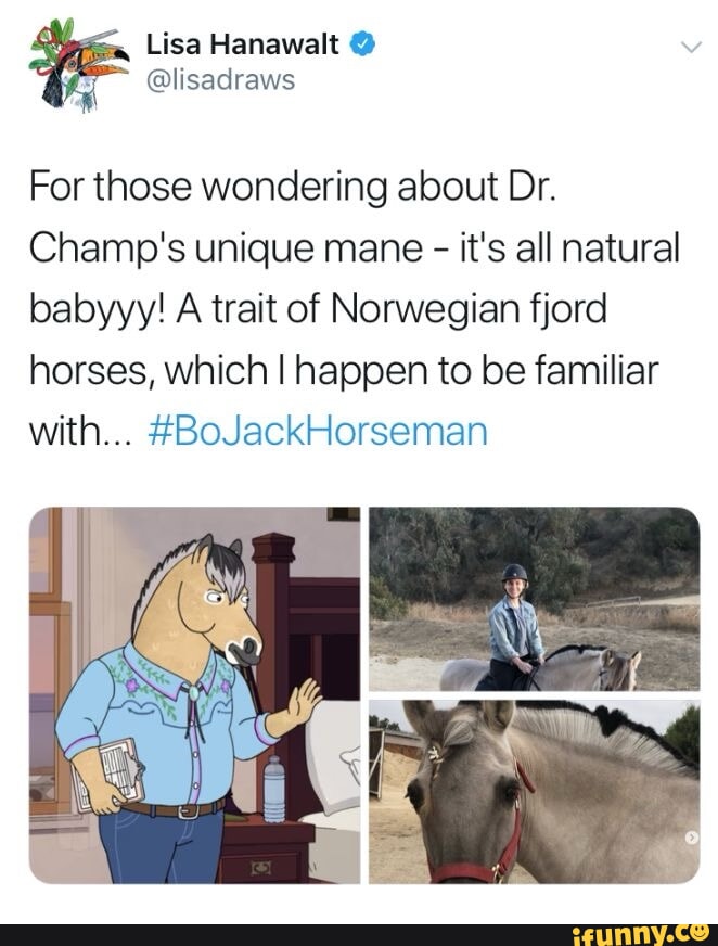 For those wondering about Dr. Champ's unique mane - it's all natural ...