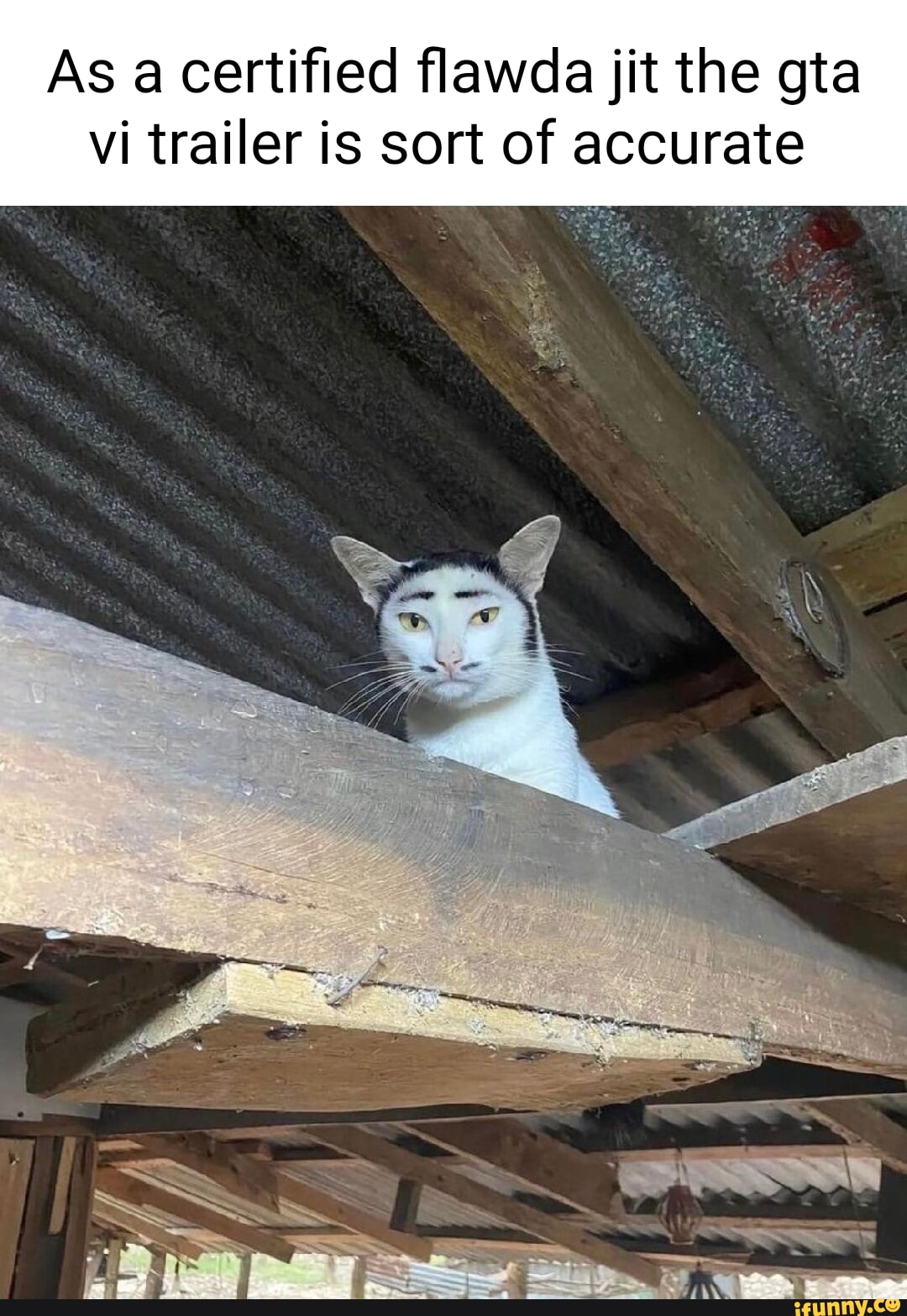 As a certified flawda jit the gta vi trailer is sort of accurate - iFunny