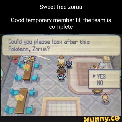Zorua memes. Best Collection of funny Zorua pictures on iFunny