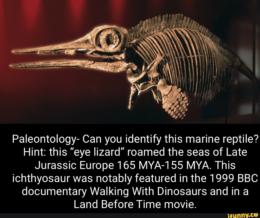Paleontology- Can you identify this marine reptile? Hint: this "eye ...