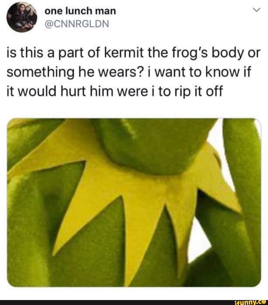 Is this a part of kermit the frog’s body or something he wears? i want ...