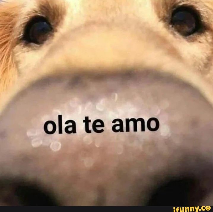Te Amo Meme