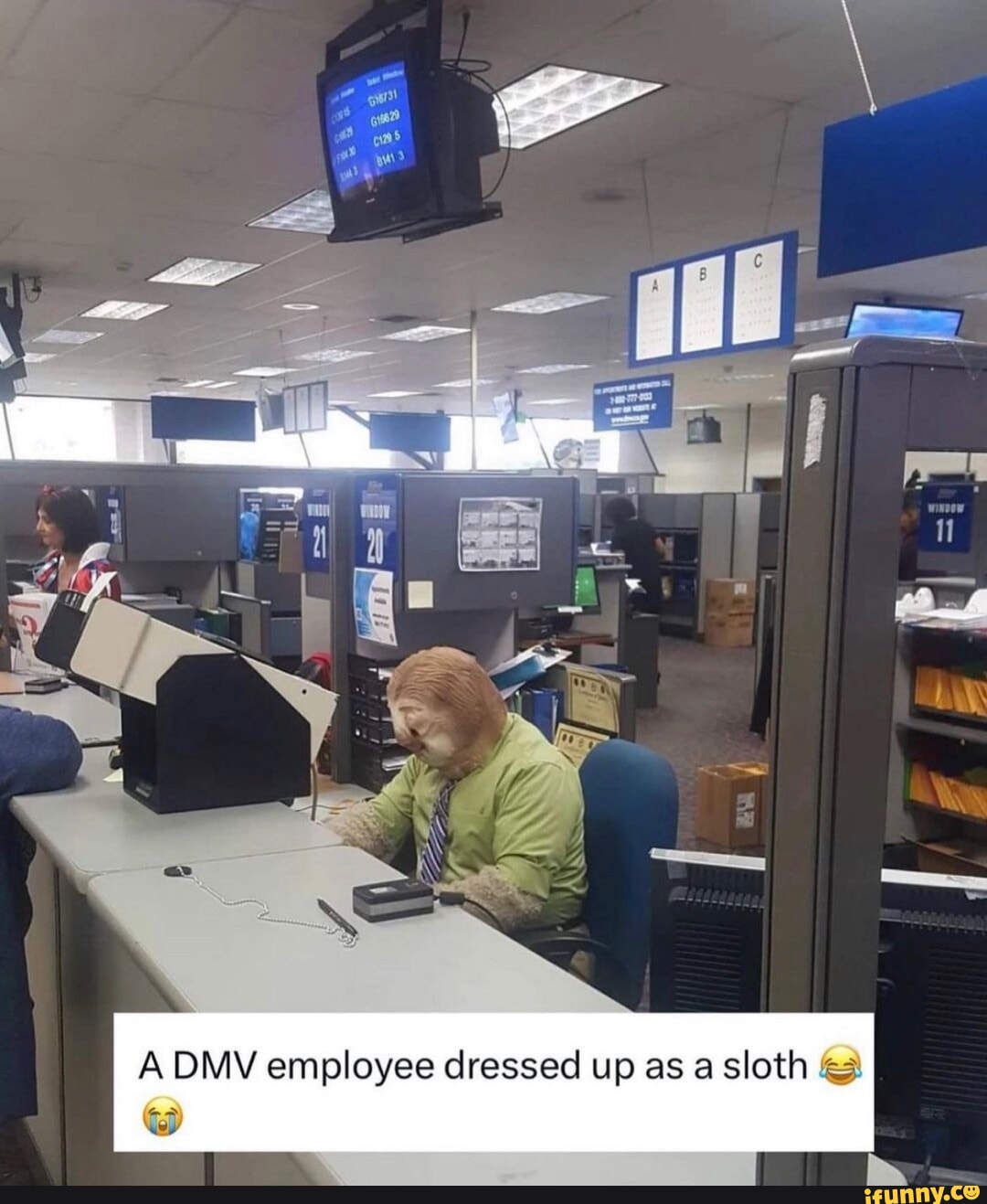 A DMV employee dressed up as a sloth & wy - iFunny