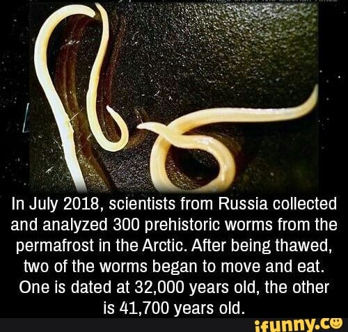 In July 2018, scientists from Russia collected and analyzed 300 ...