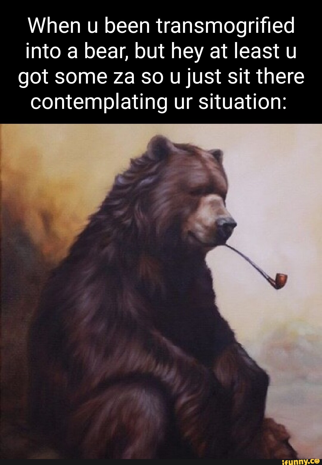Transmogrified memes. Best Collection of funny Transmogrified pictures ...