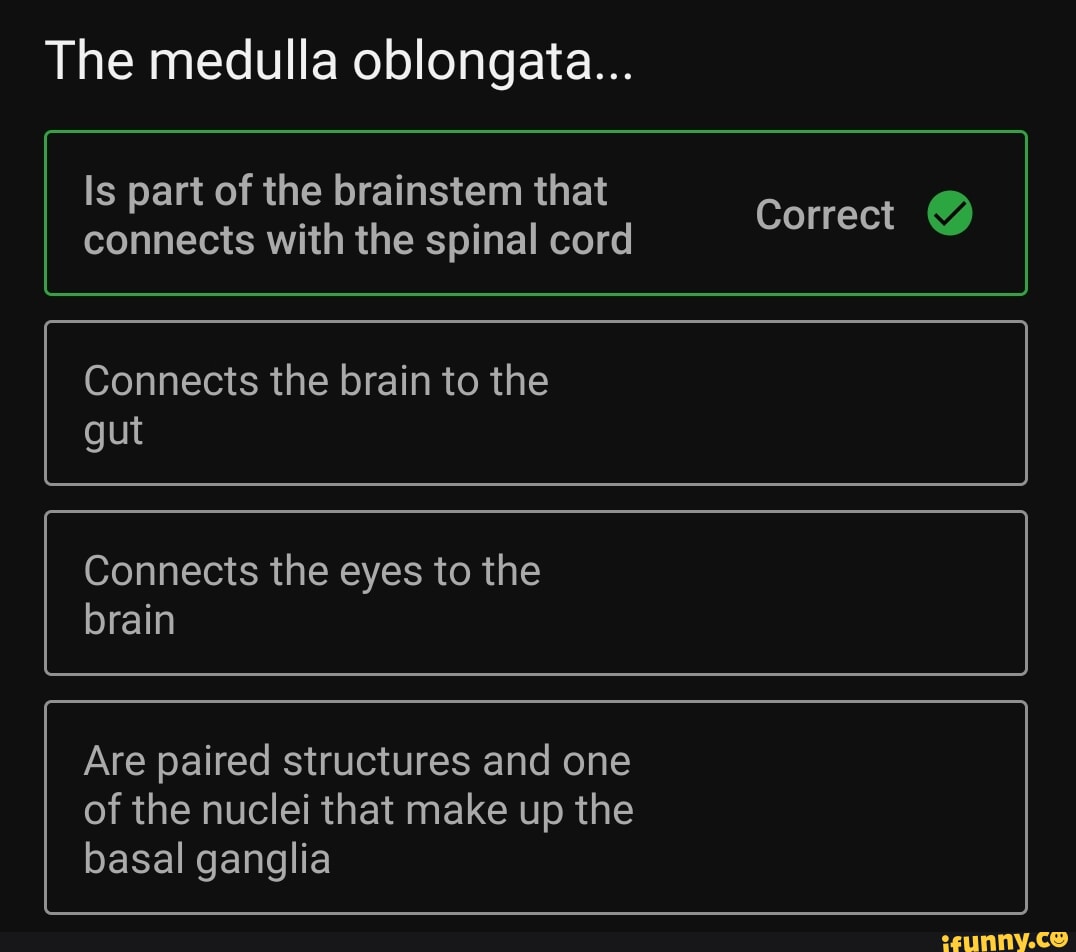 Nuclei memes. Best Collection of funny Nuclei pictures on iFunny