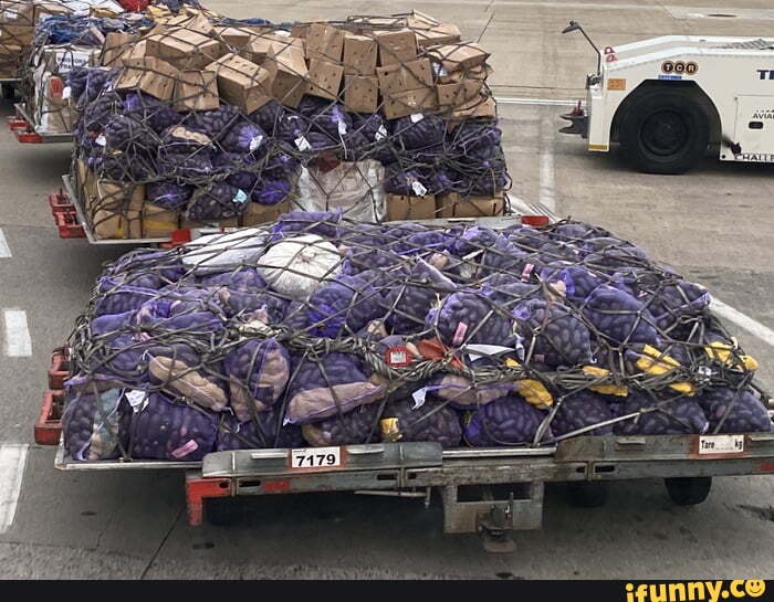 Slong memes. Best Collection of funny Slong pictures on iFunny