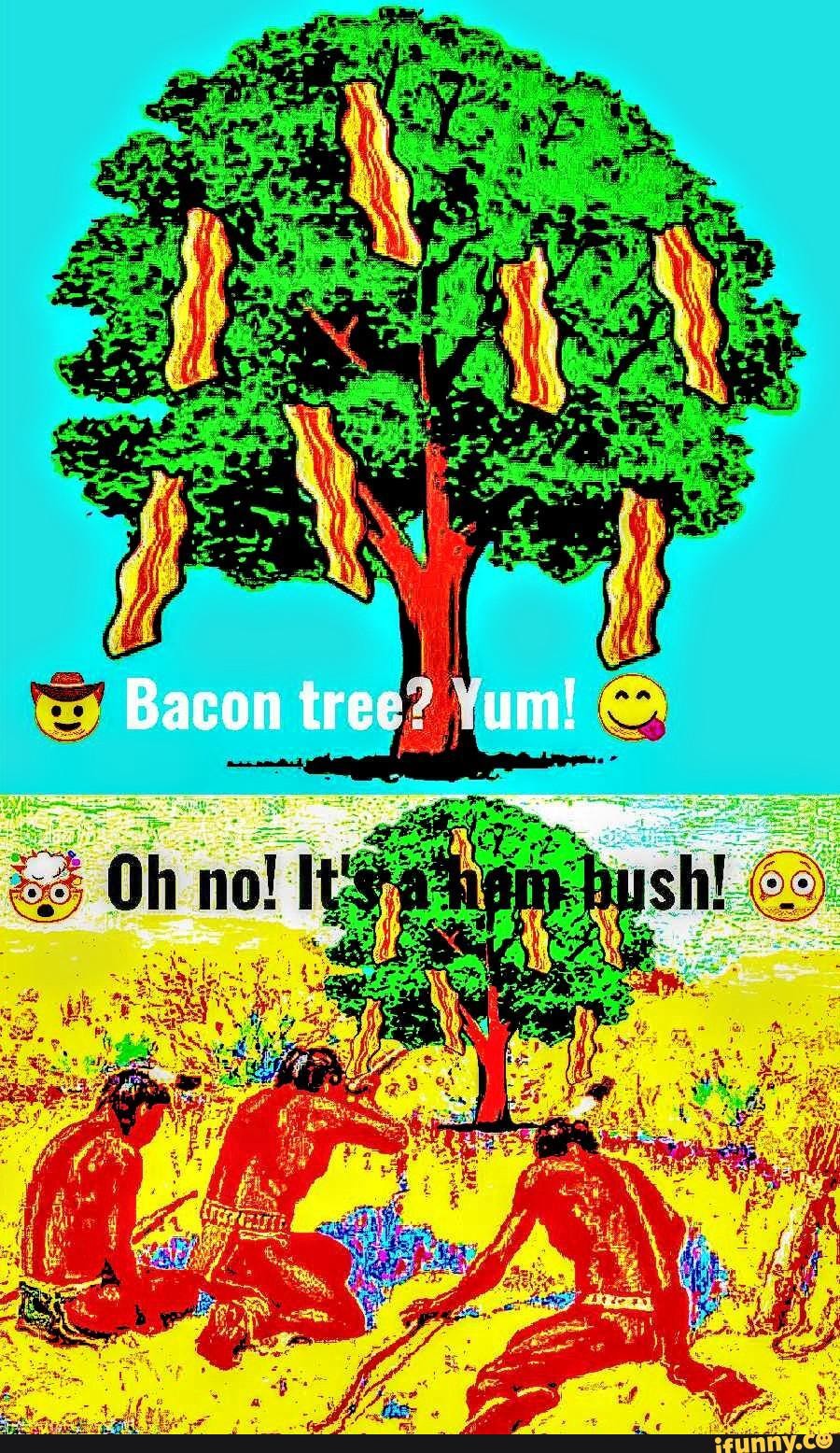 Bacon tree * "um! - iFunny