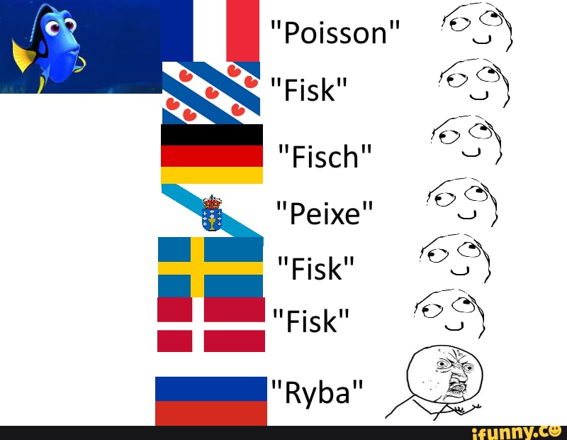 Ryba memes. Best Collection of funny Ryba pictures on iFunny