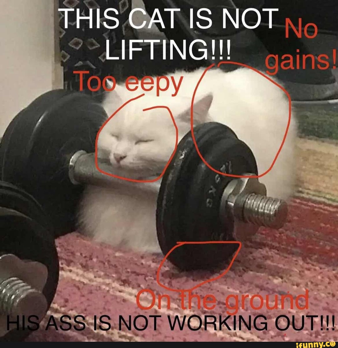 Liz @inerati why do canadians care about climate change. their country ...