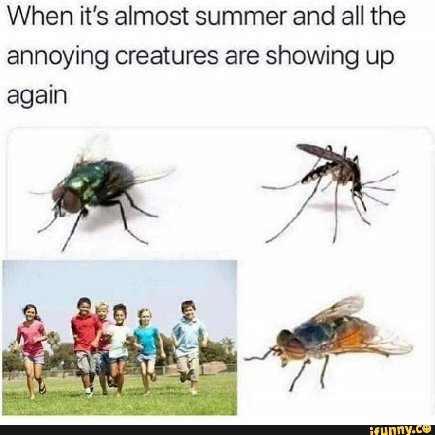 When it’s almost summer and all the annoying creatures are showing up ...