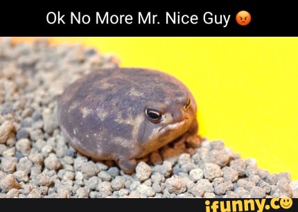 Ok No More Mr. Nice Guy - iFunny
