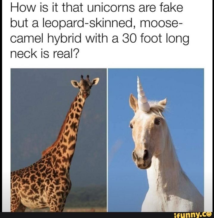 How is it that unicorns are fake but a leopard-skinned, moose- camel ...