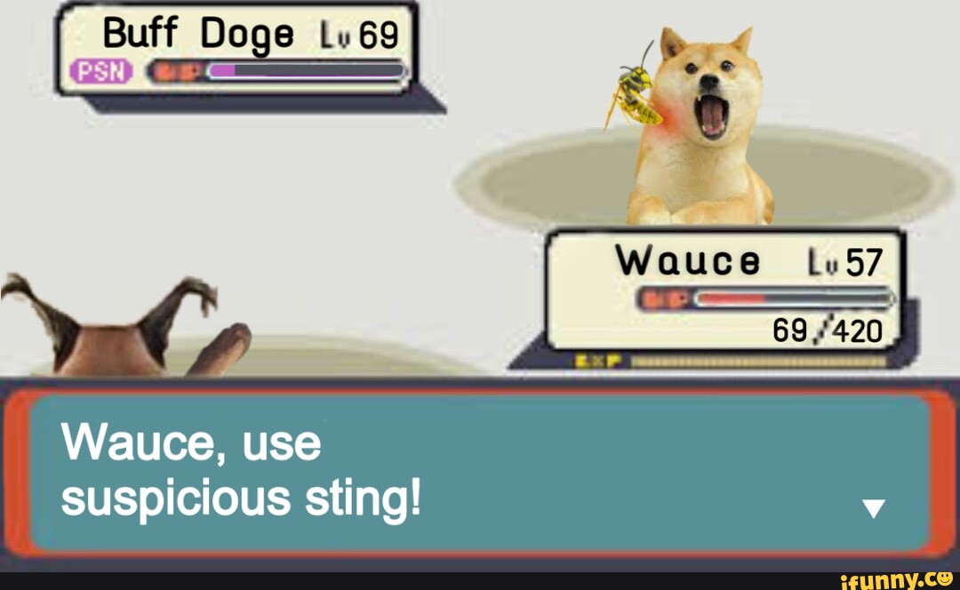 Buff Doge Lu 69 Wauce_ 1u57 69 Wauce, use suspicious sting! - iFunny