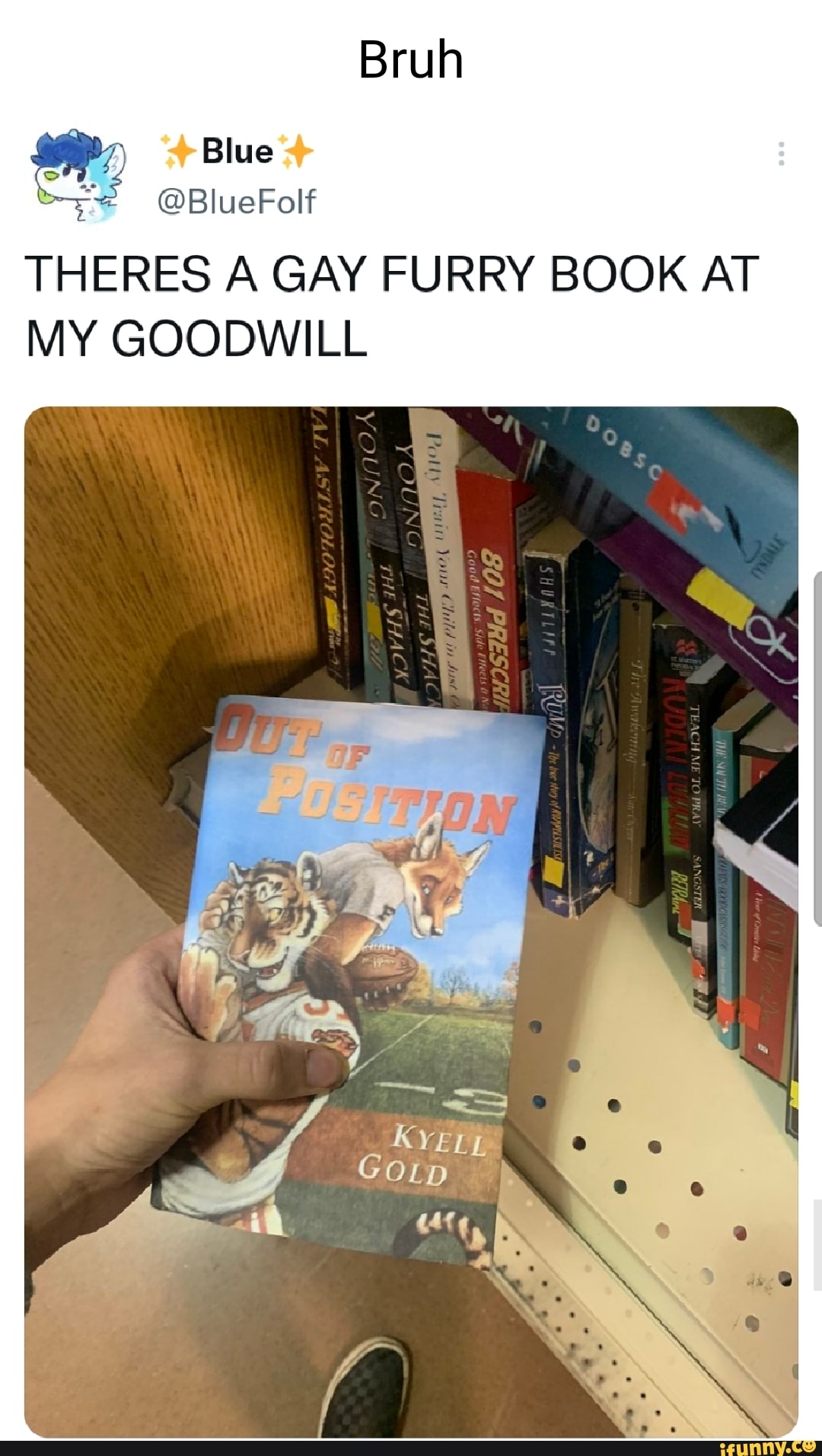 Bruh Blue @BlueFolf THERES A GAY FURRY BOOK AT MY GOODWILL - iFunny
