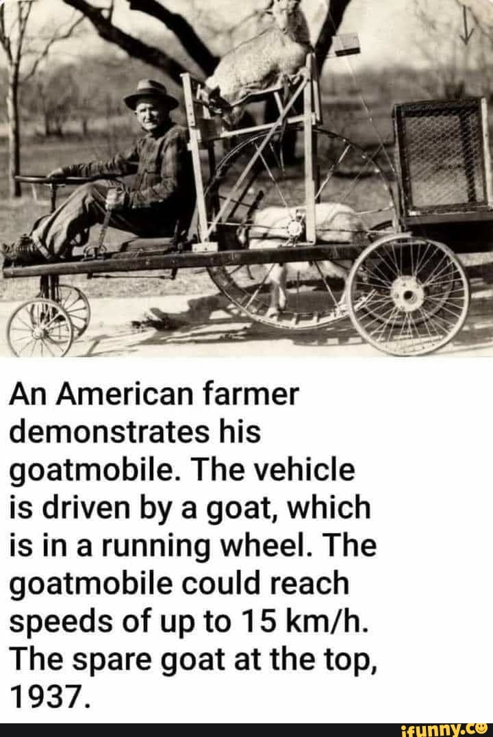 An American farmer demonstrates his goatmobile. The vehicle is driven ...