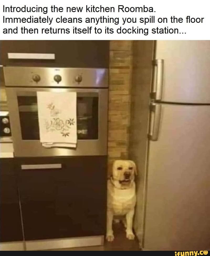 Docking memes. Best Collection of funny Docking pictures on iFunny