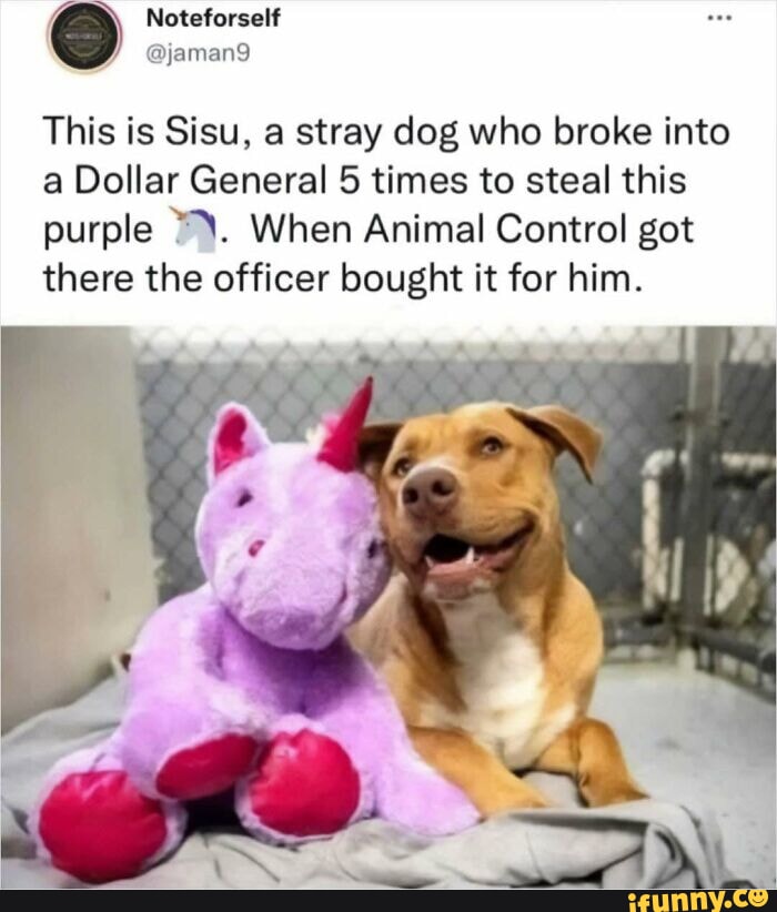 Sisu memes. Best Collection of funny Sisu pictures on iFunny