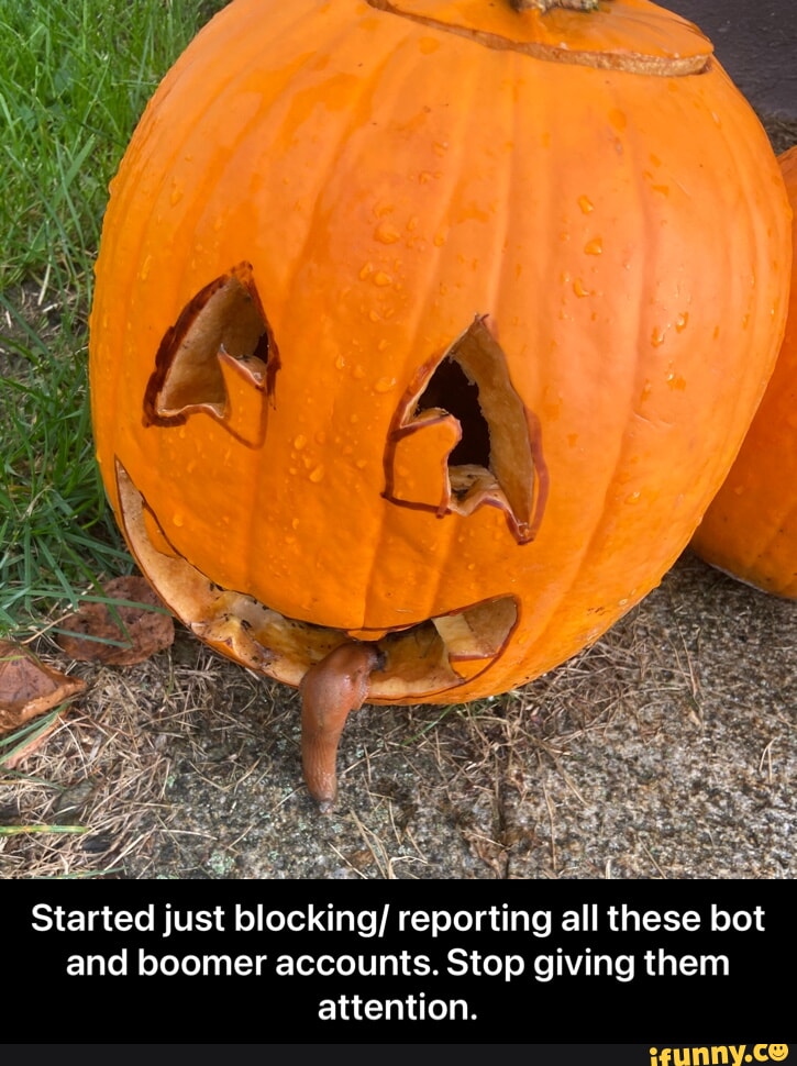 Ont Started just blocking/ reporting all these bot and boomer accounts ...