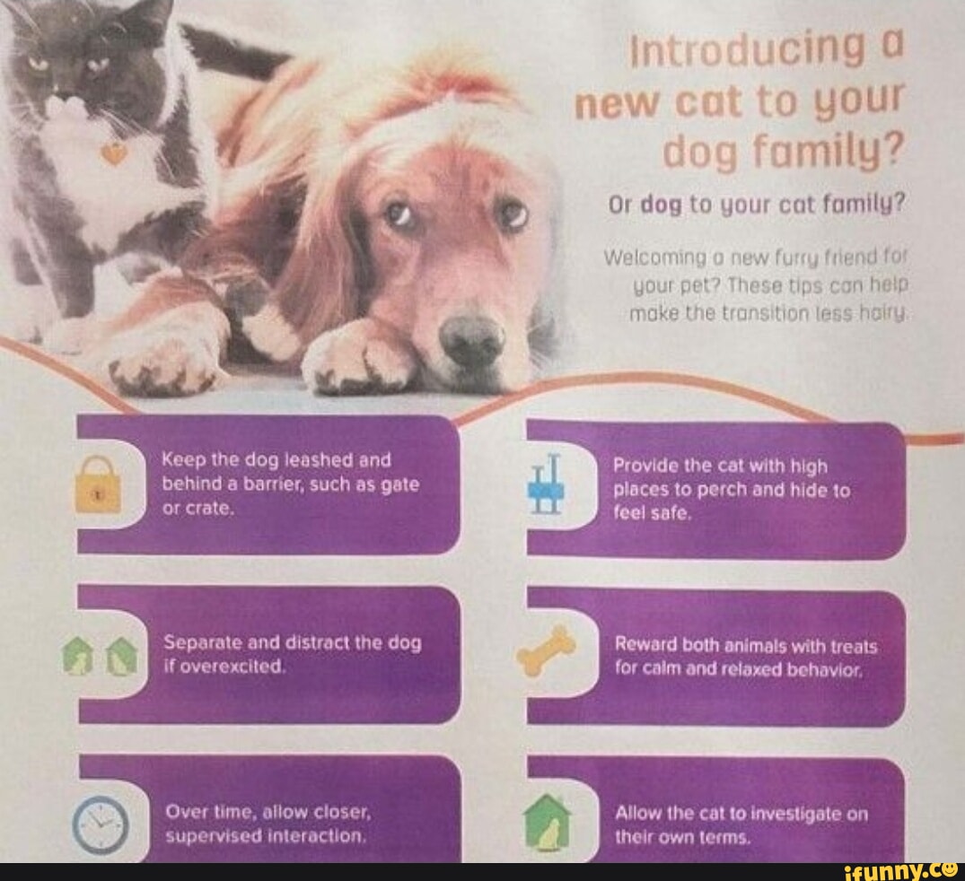 Barrier memes. Best Collection of funny Barrier pictures on iFunny