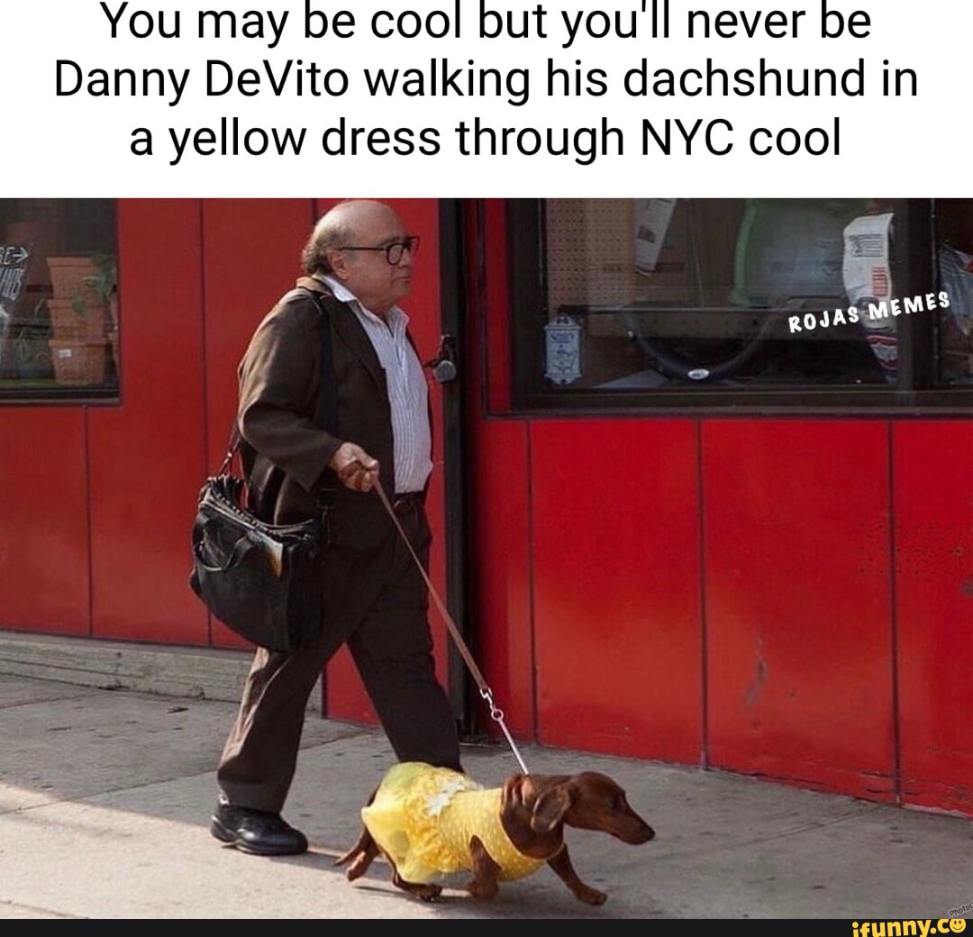 Danny Devito memes memes. The best memes on iFunny