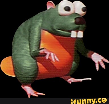 Aruba memes. Best Collection of funny Aruba pictures on iFunny