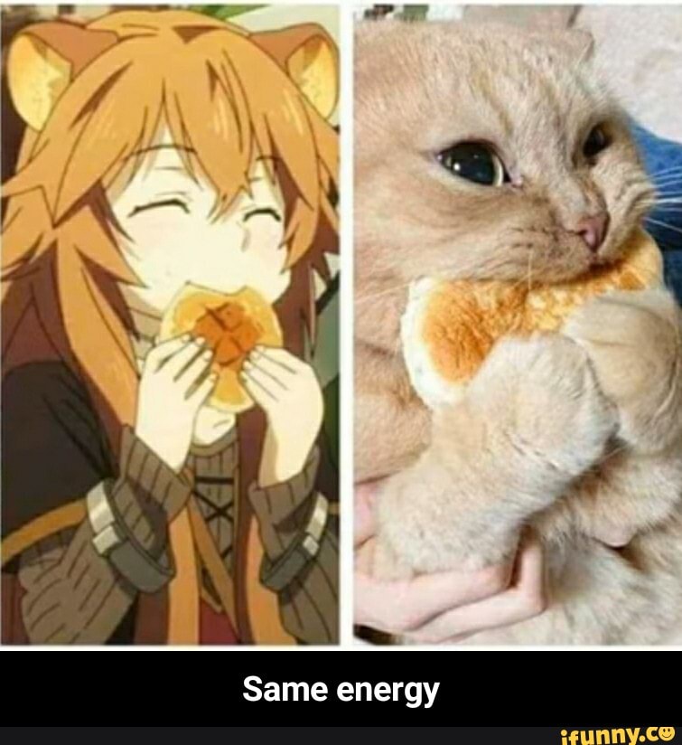 Same energy - iFunny