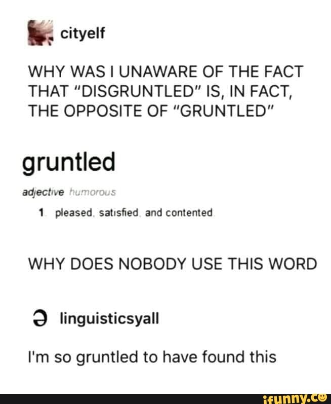 Gruntled memes. Best Collection of funny Gruntled pictures on iFunny