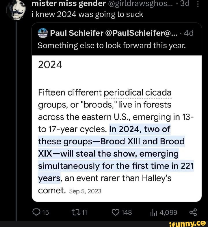 Emergent Meme