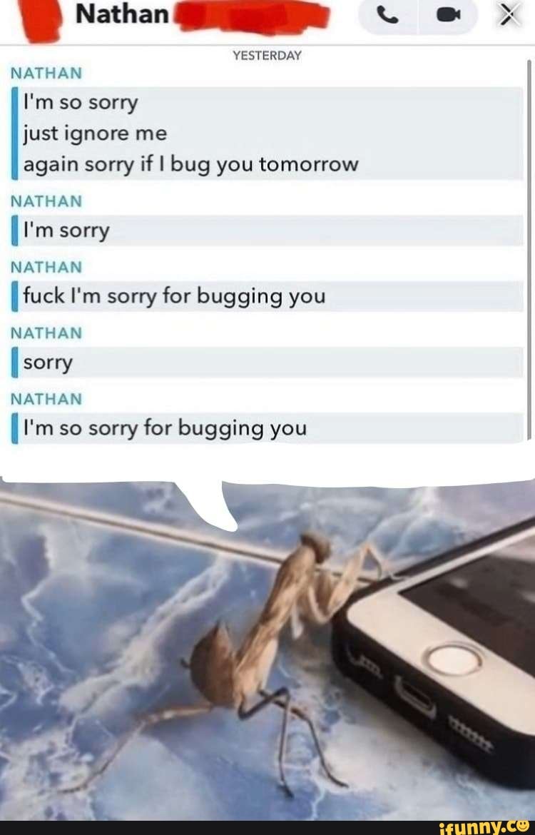 Bugging memes. Best Collection of funny Bugging pictures on iFunny