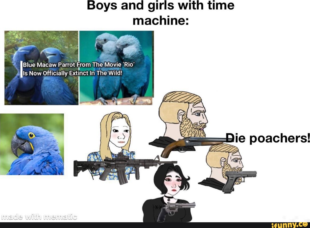 Macaw memes. Best Collection of funny Macaw pictures on iFunny