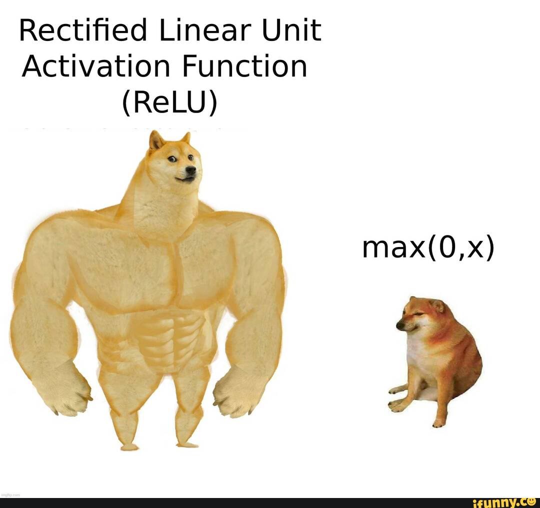 Rectified Linear Unit Activation Function (ReLU) - iFunny