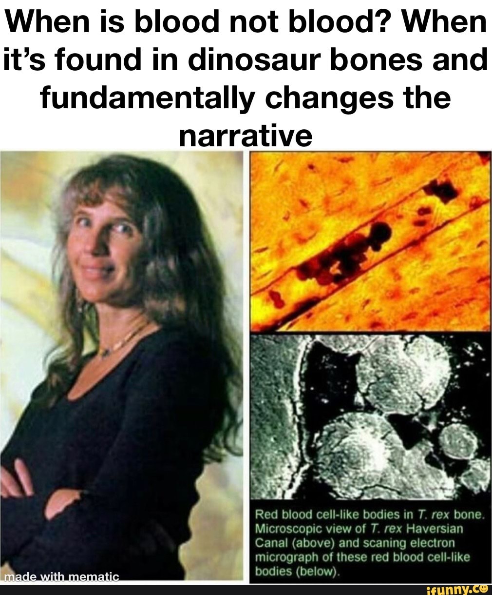 When is blood not blood? When it's found in dinosaur bones and ...