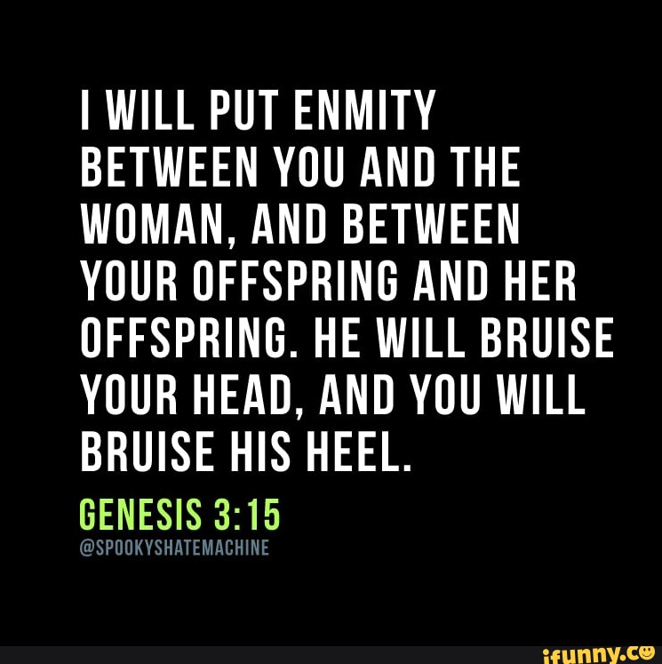 Bruise memes. Best Collection of funny Bruise pictures on iFunny