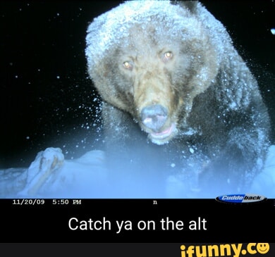 Catch ya on the alt - iFunny