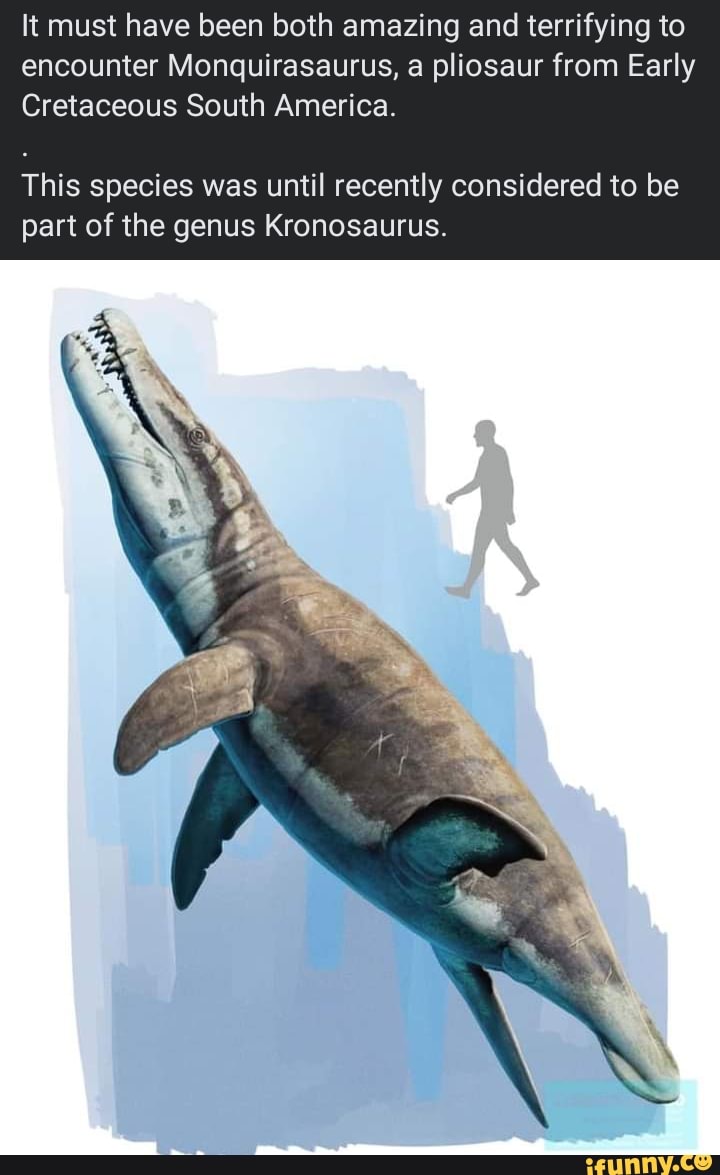 It must have been both amazing and terrifying to encounter ...