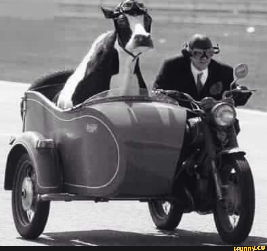 Sidecar memes. Best Collection of funny Sidecar pictures on iFunny