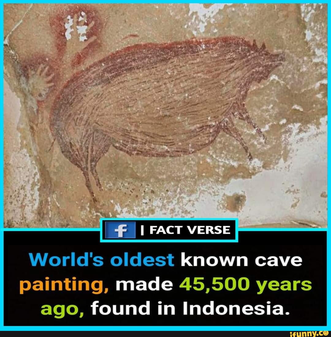 FACT VERSE World's oldest known cave painting, made 45,500 years ago ...