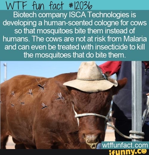 Biotech memes. Best Collection of funny Biotech pictures on iFunny