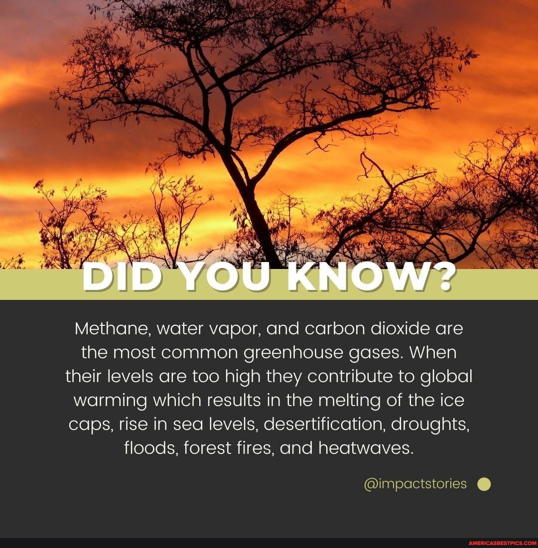 DID YOU KNOW? Methane, water vapor, and carbon dioxide are the most ...