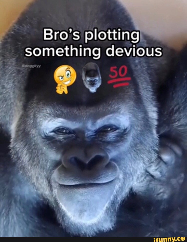 Bro's plotting something devious Ow - iFunny