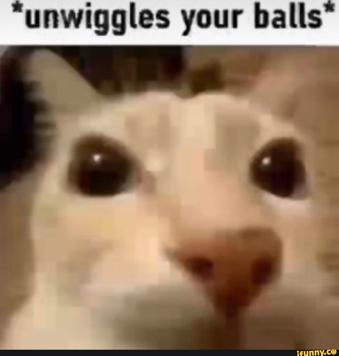 LAS your balls" - iFunny