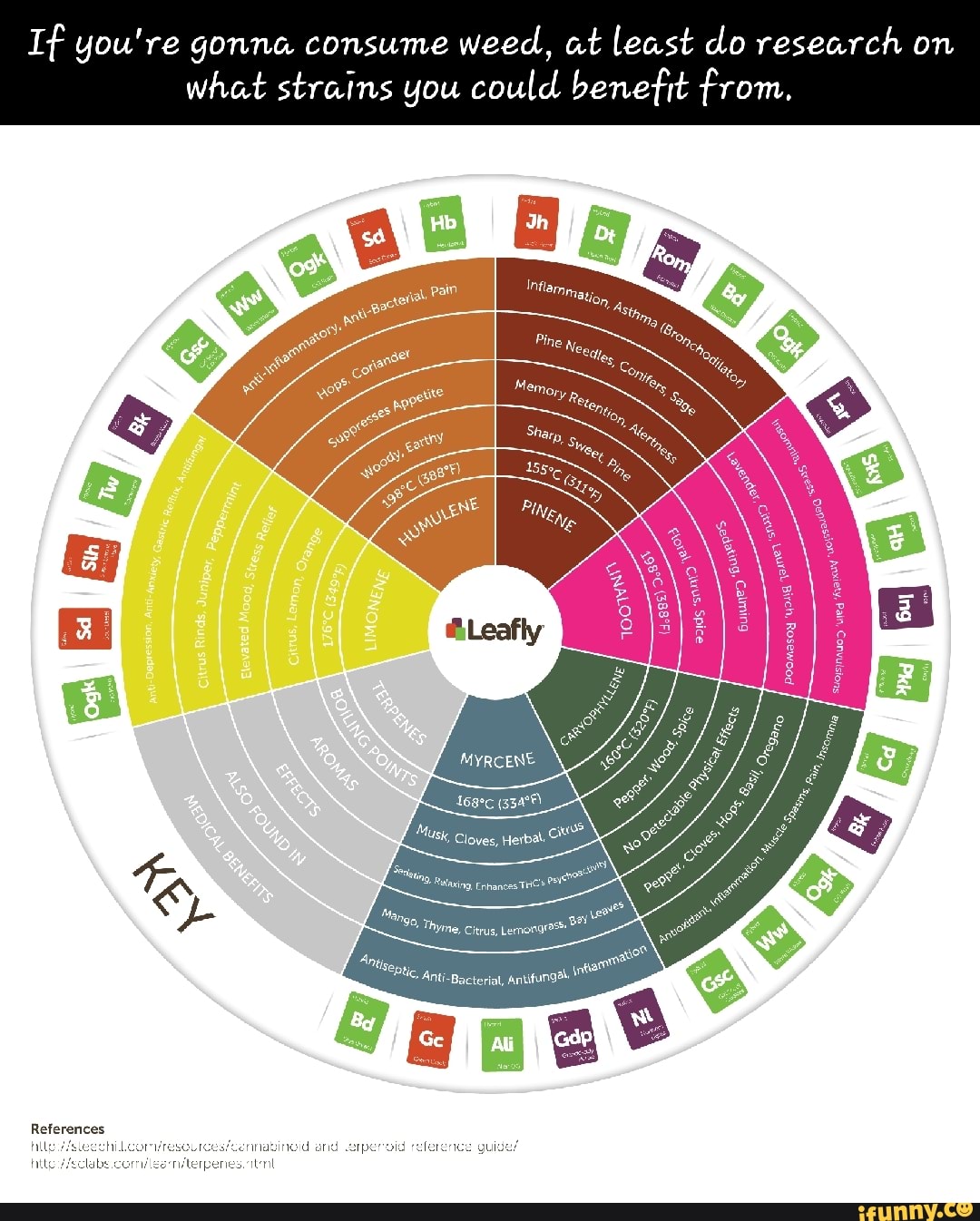 Strains memes. Best Collection of funny Strains pictures on iFunny